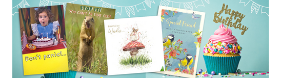 The Celebration Store